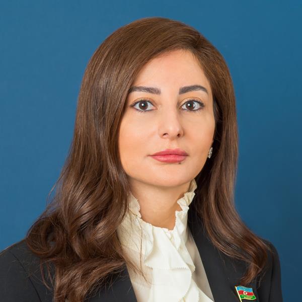 New Head of the APA Delegation in the Milli Majlis of the Republic of ...